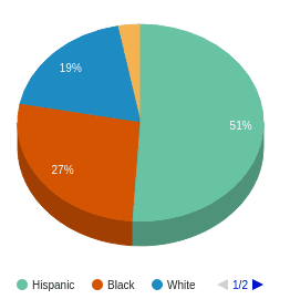 Bing Elementary School Profile (2019-20) | Tampa, FL
