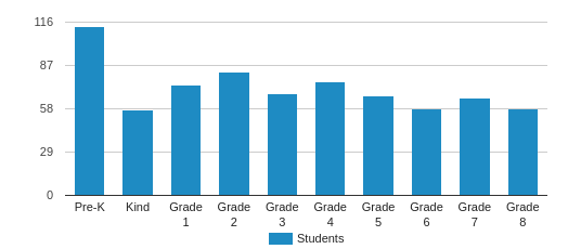 Ray Elementary School Profile (2019-20) | Chicago, IL